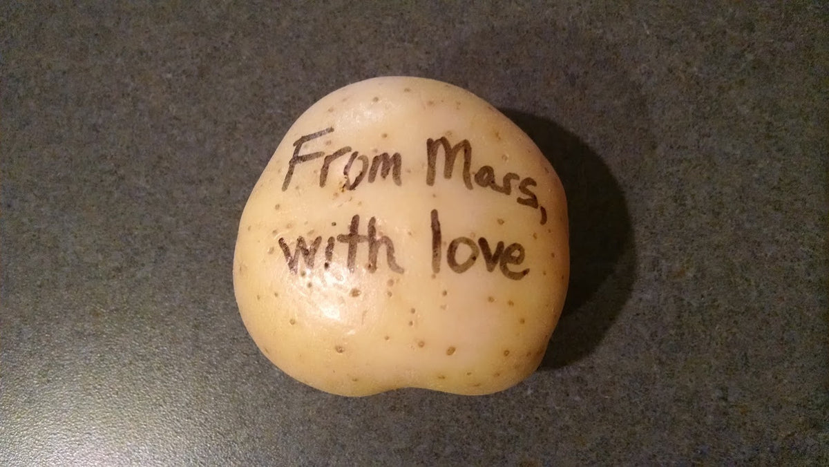 Growing potatoes on Mars: NASA prepares for future colonization – PP Gifts