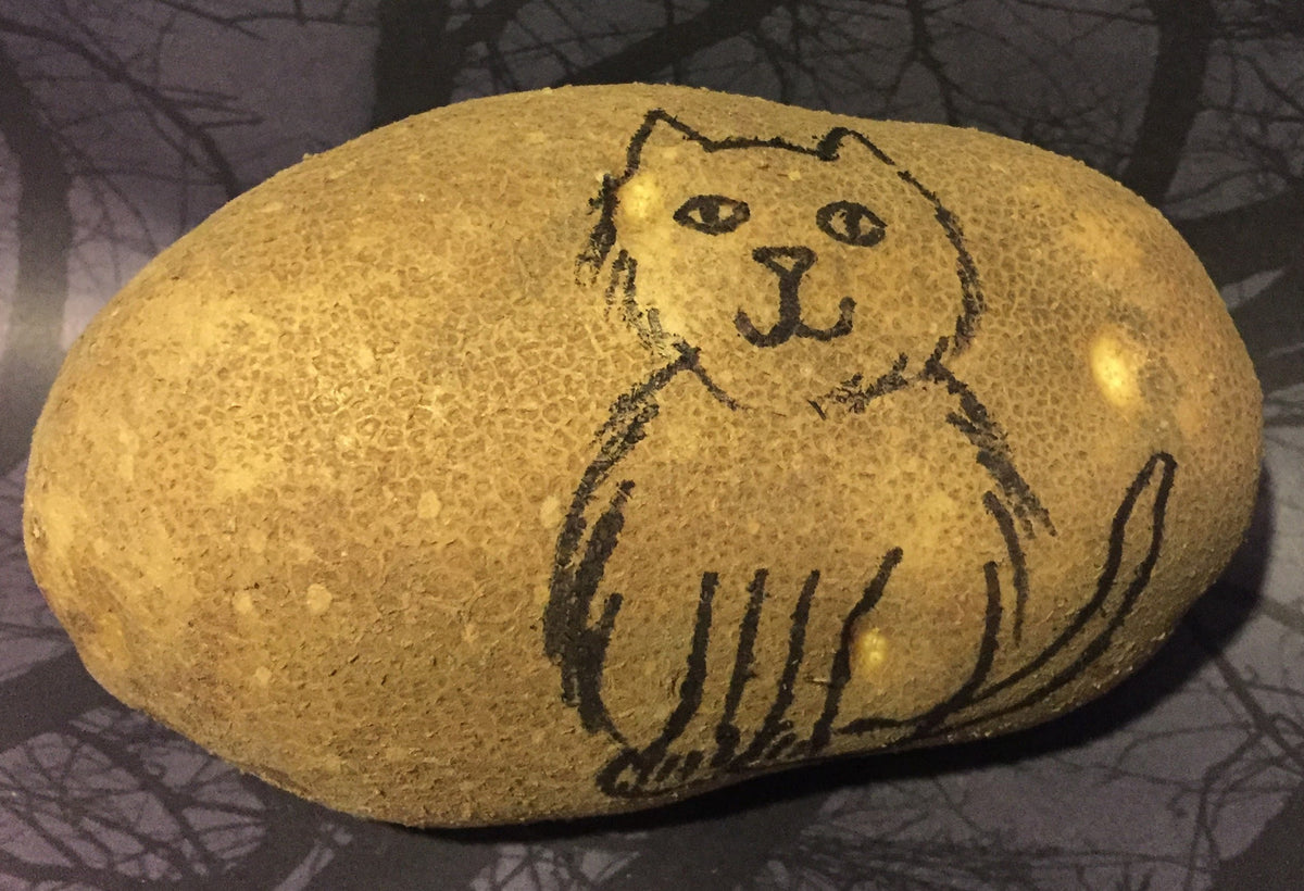 Mail a Potato – PP Gifts